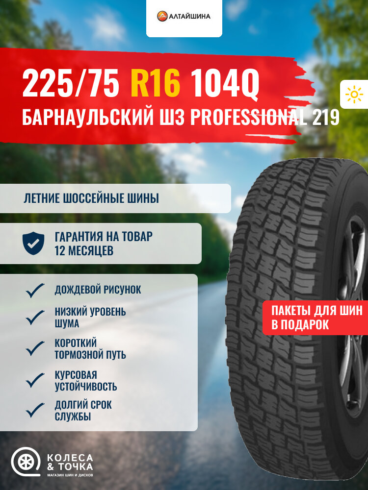 NORTEC PROFESSIONAL 219 225/75R16 104Q (лето) (197386)