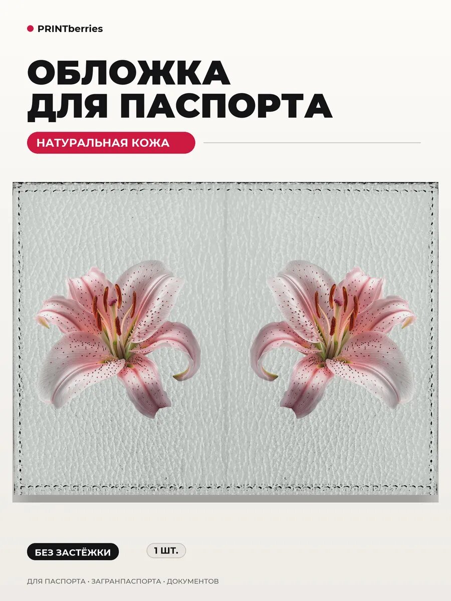Обложка для паспорта PRINTBERRIES