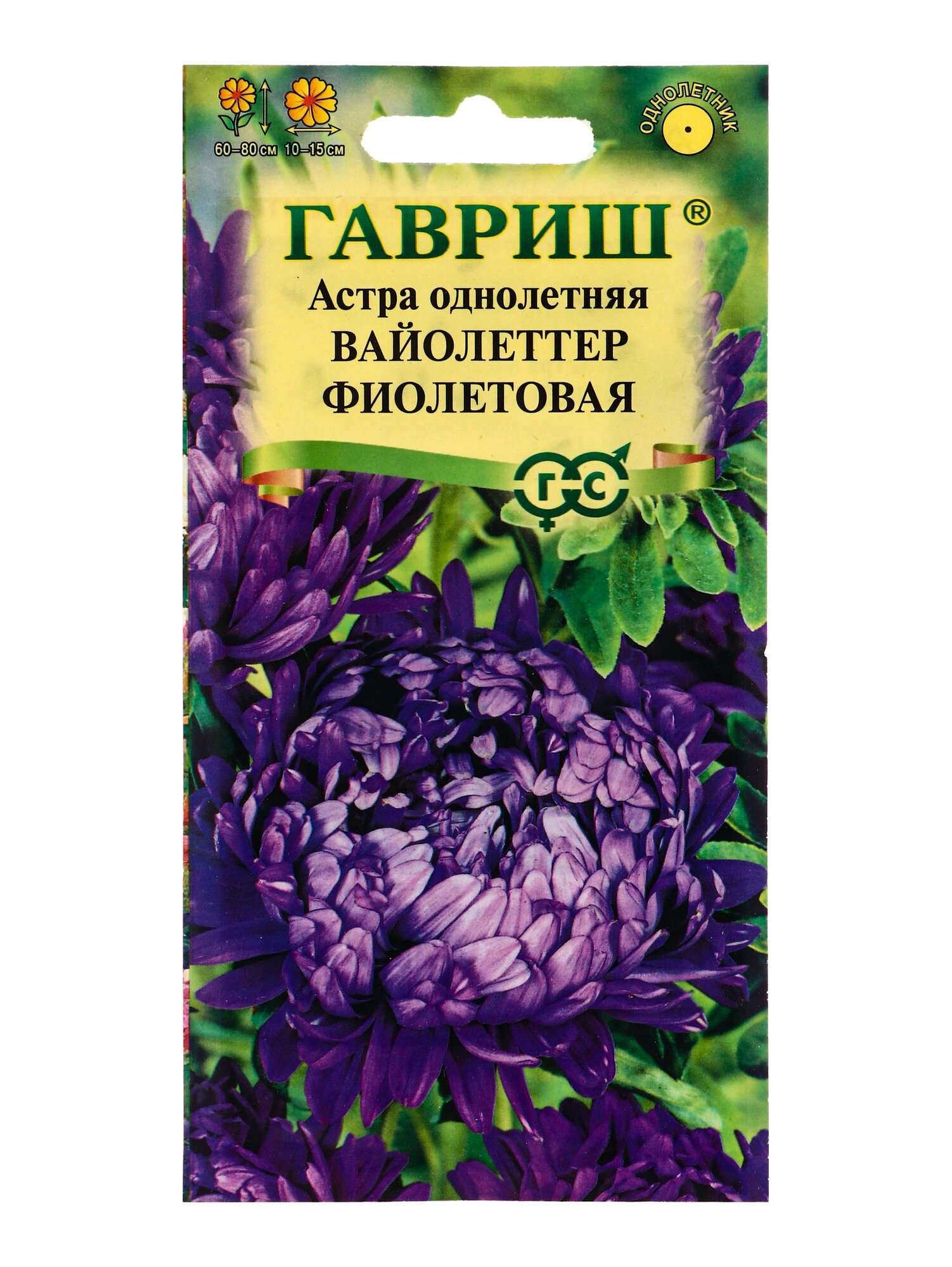 Семена цветов Астра однолетняя «Вайолеттер фиолетовая» пионовидная, 0.3 г