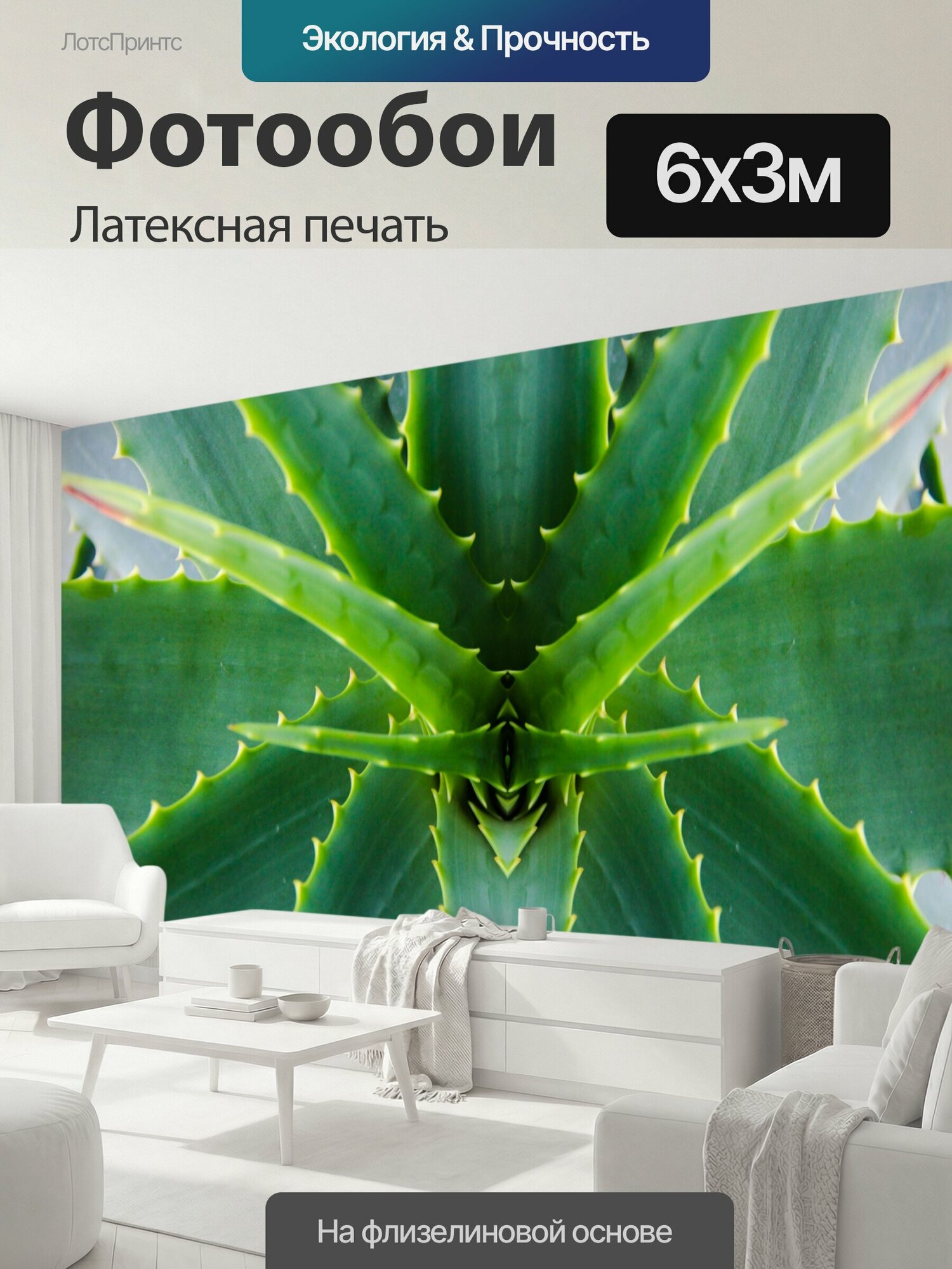 Фотообои моющиеся ударопрочные "Алоэ вера, суккулент, кактус, алоэ вера, суккулент, кактус, ботаника, уход за кожей, растение, лист, шип, рост." 600x300 см. латексная печать