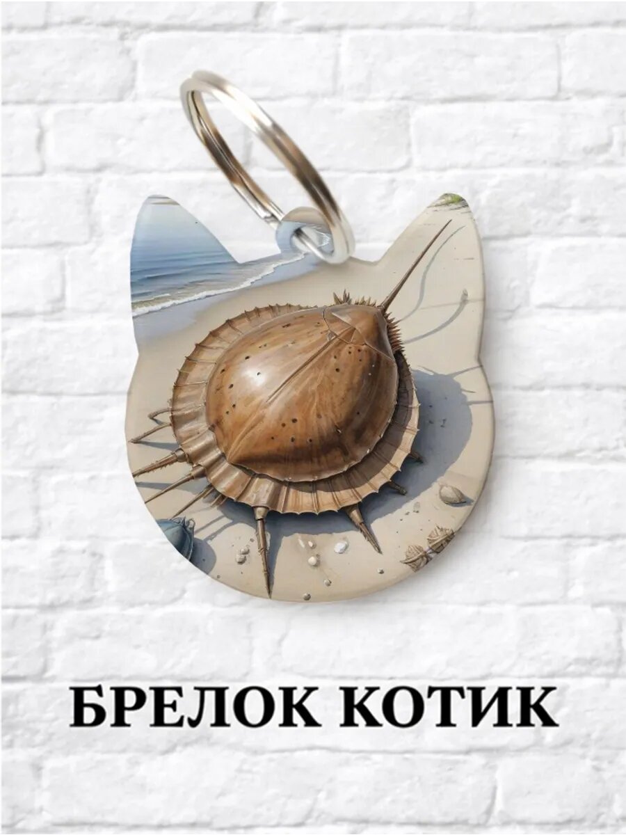 Брелок ZHENYA CLOUD