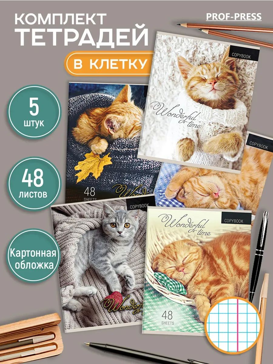 Тетрадь 48 листов в клетку Prof-Press, набор 5 штук