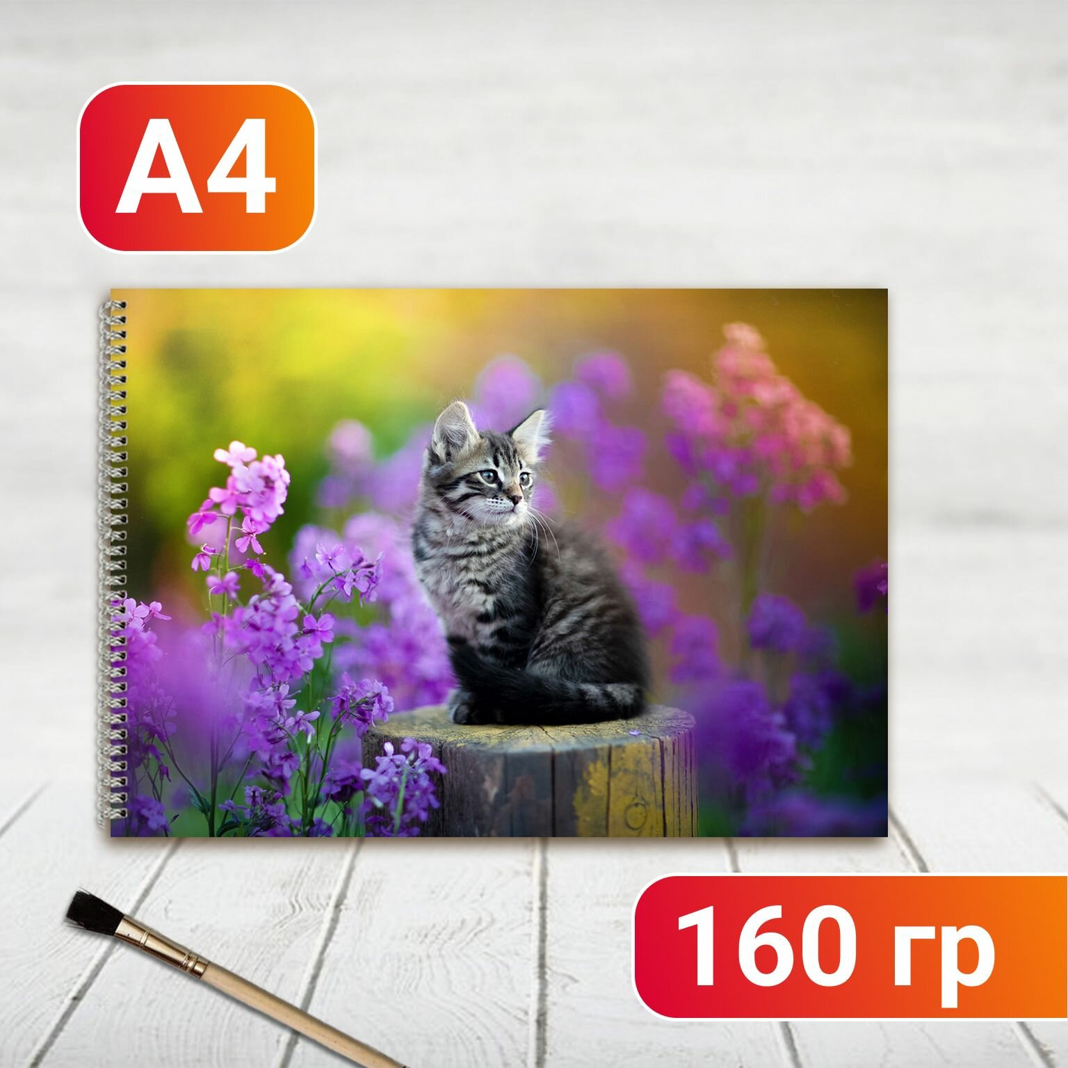 Альбом для рисования Котик