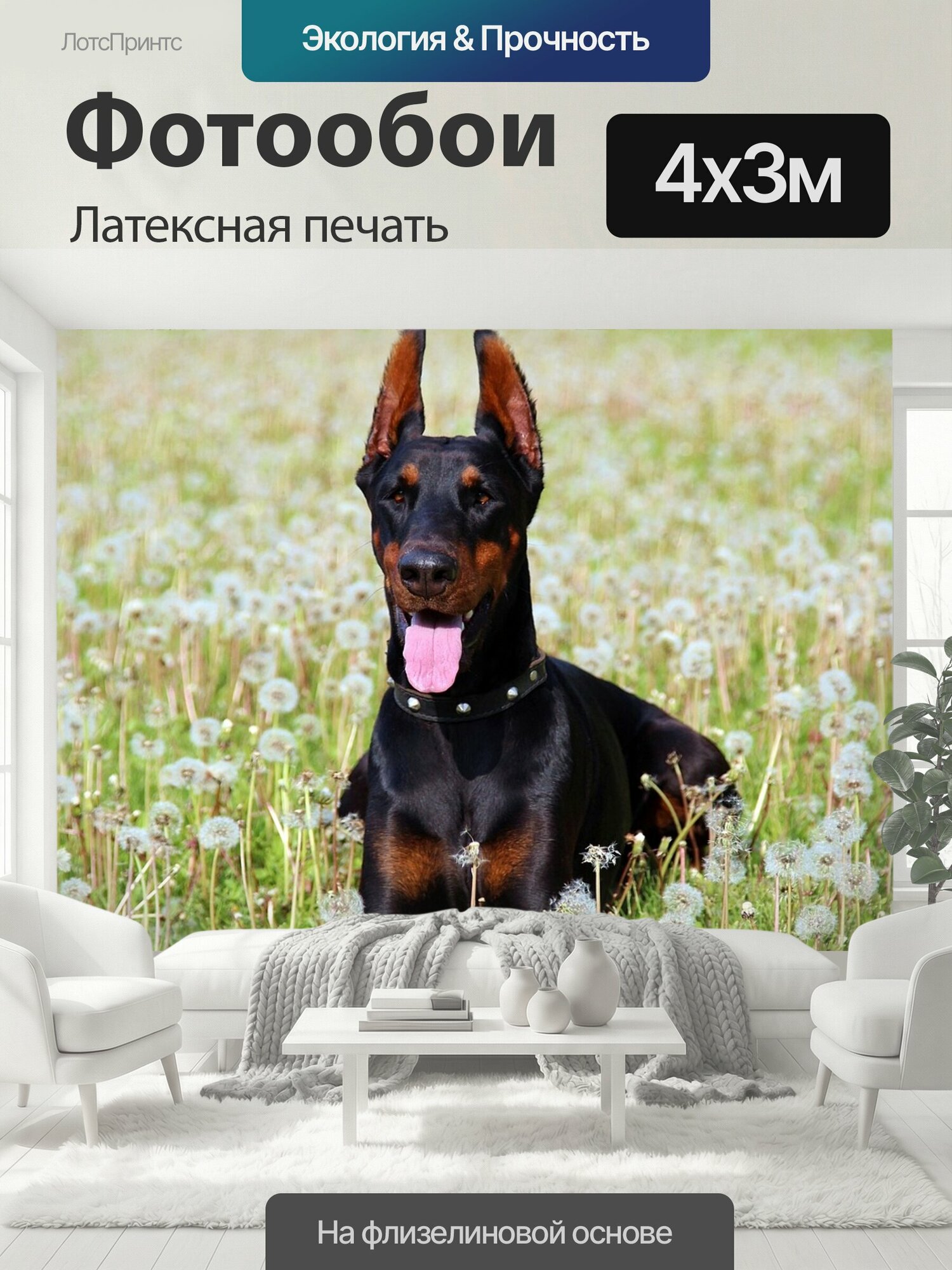 Фотообои моющиеся ударопрочные "Доберман, цветок одуванчика, поле" 400x300 см. латексная печать