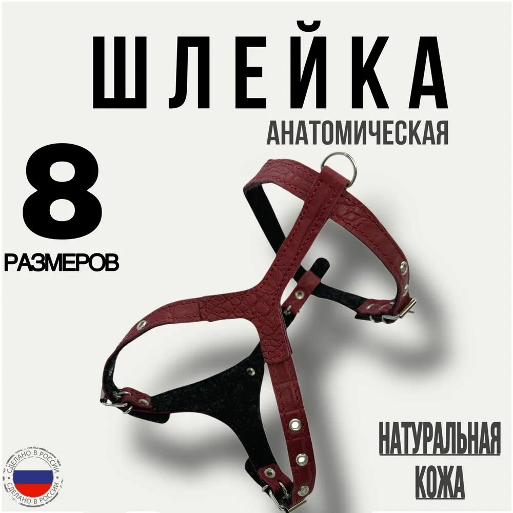 Шлейка для собак из натуральной кожи №1