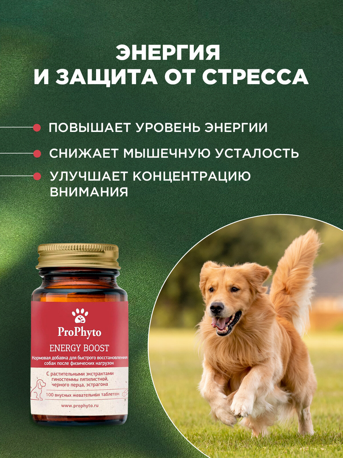 Добавка пищевая ProPhyto для взрослых собак для поддержания энергии Энерджи Буст, 100 таблеток — фото 1