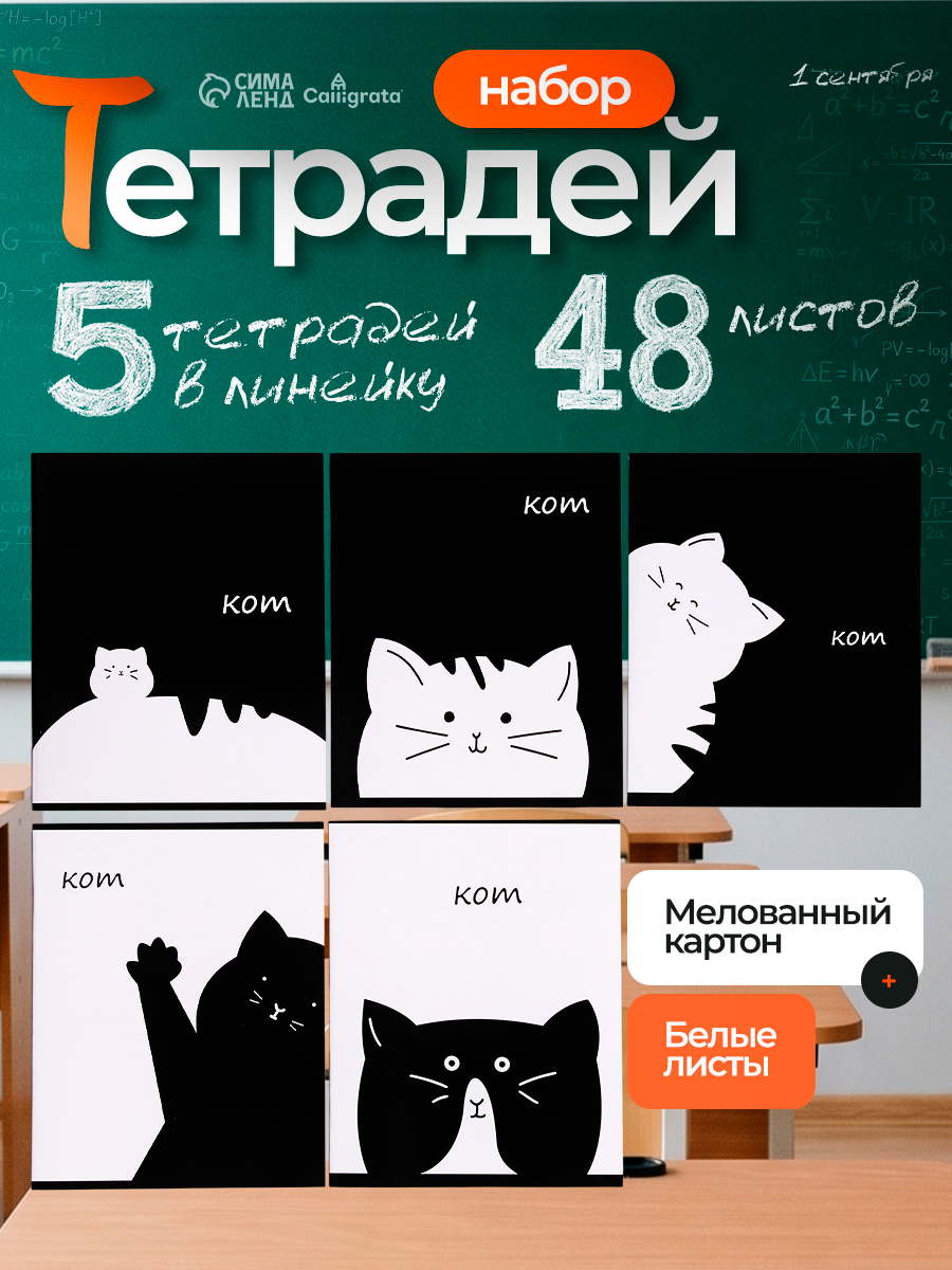 Комплект тетрадей 5 штук Calligrata "Кот" в линию, 48 листов
