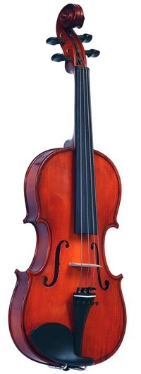 Скрипка Vasile Gliga B-V044