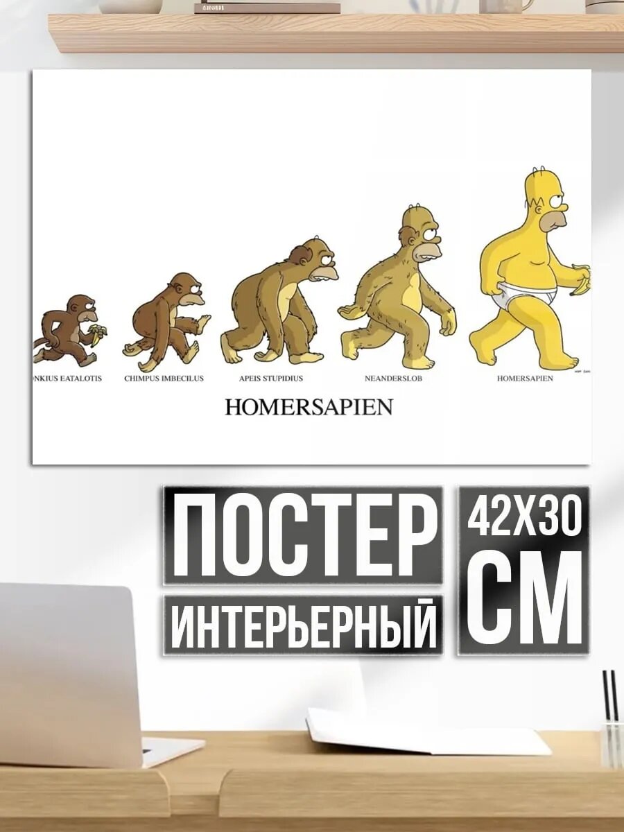 Плакат постер эволюция Хомерсапиен