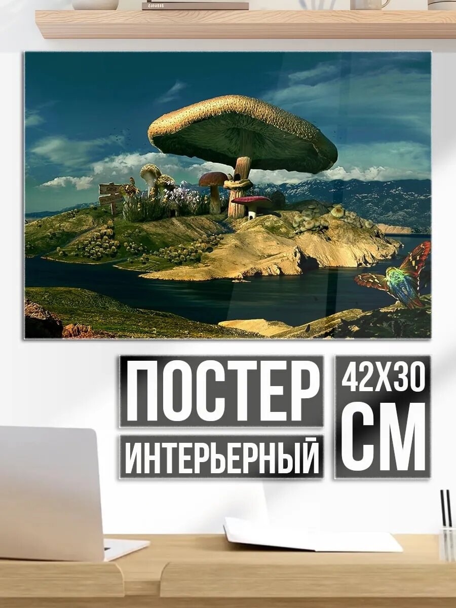 Плакат постер гриб на острове