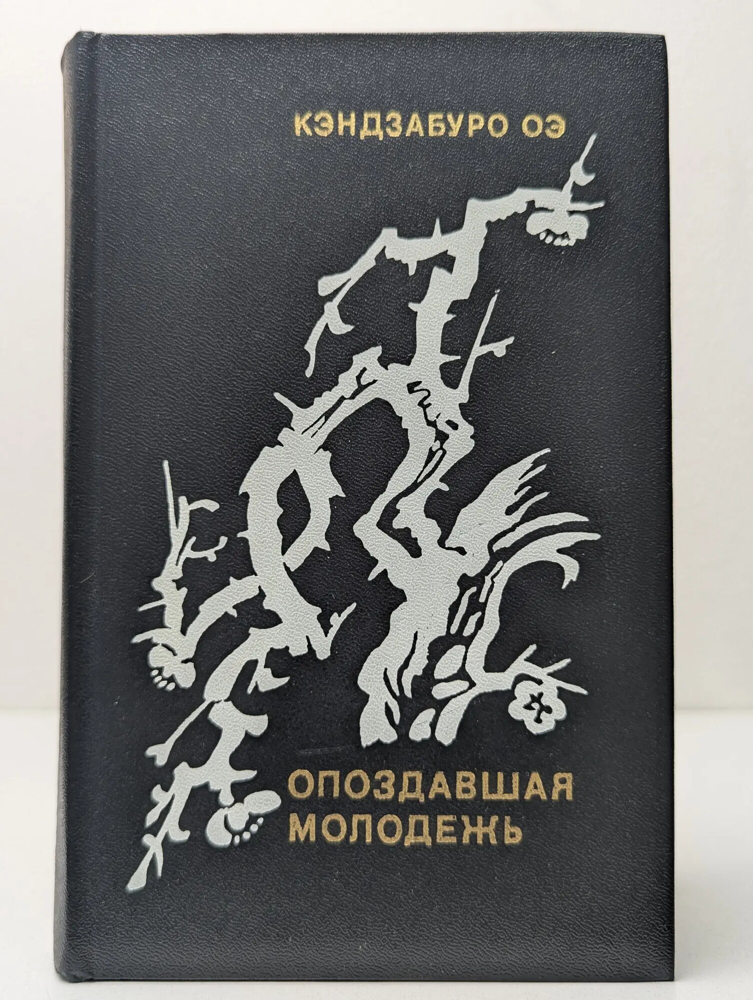Опоздавшая молодёжь Оэ Кэндзабуро 1973