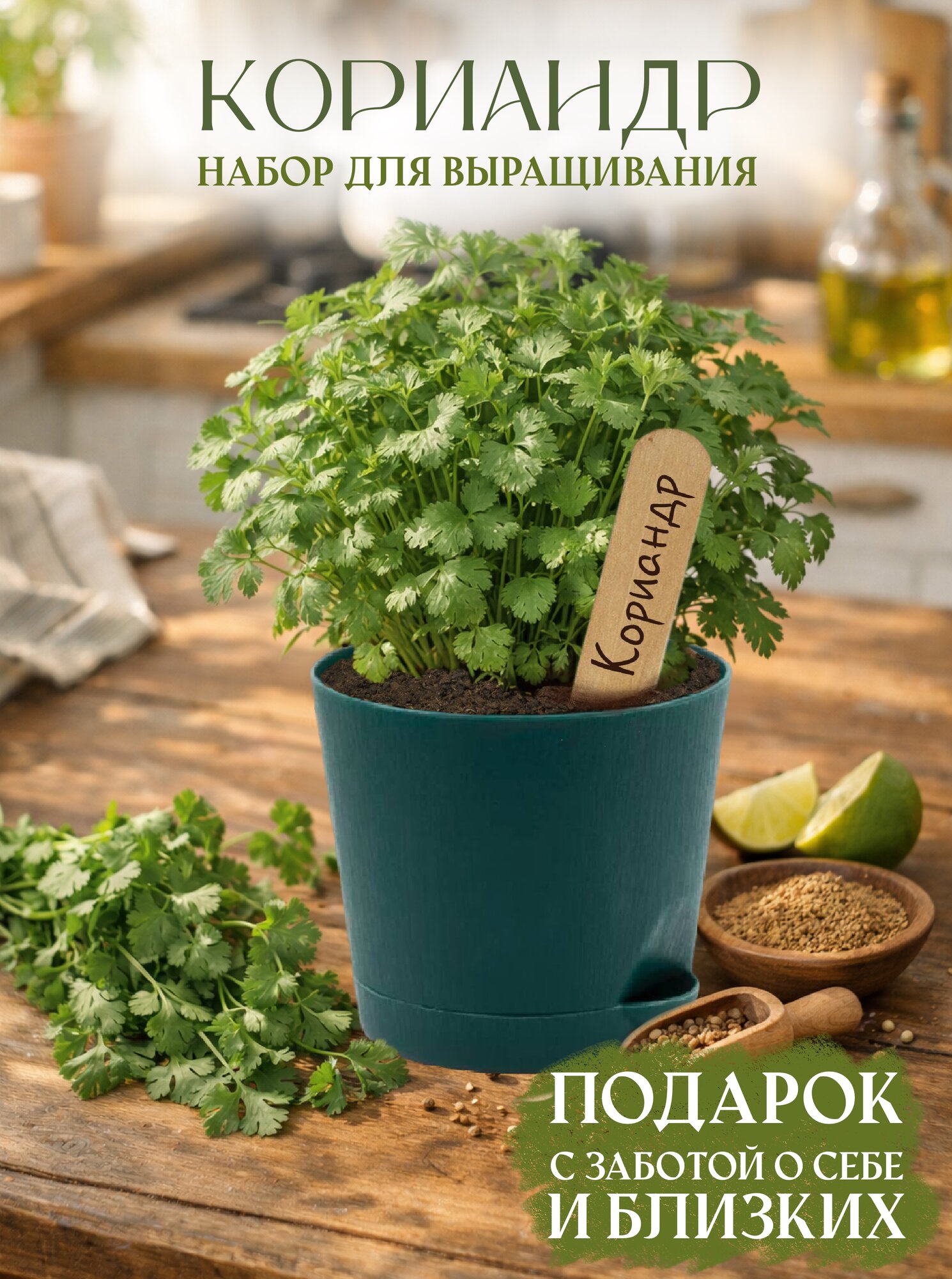 Набор для выращивания кориандра дома — кинза на подоконнике, мини огород, свежая зелень