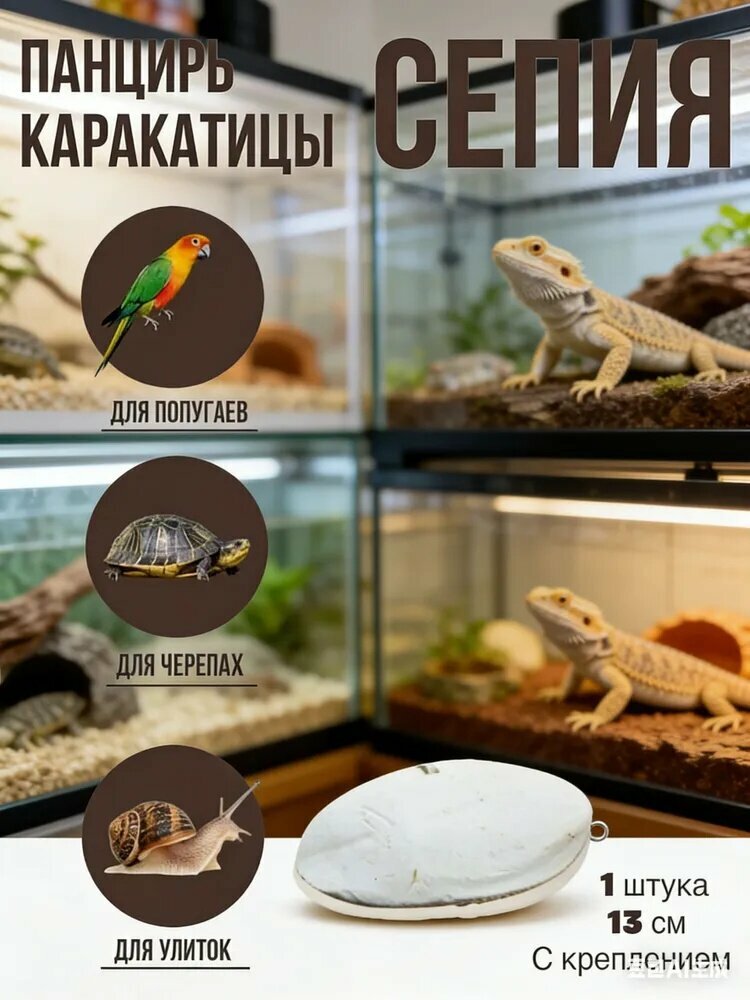 Панцирь каракатицы сепия 13 см с креплением, универсальная сепия для попугаев, черепах и улиток, источник кальция