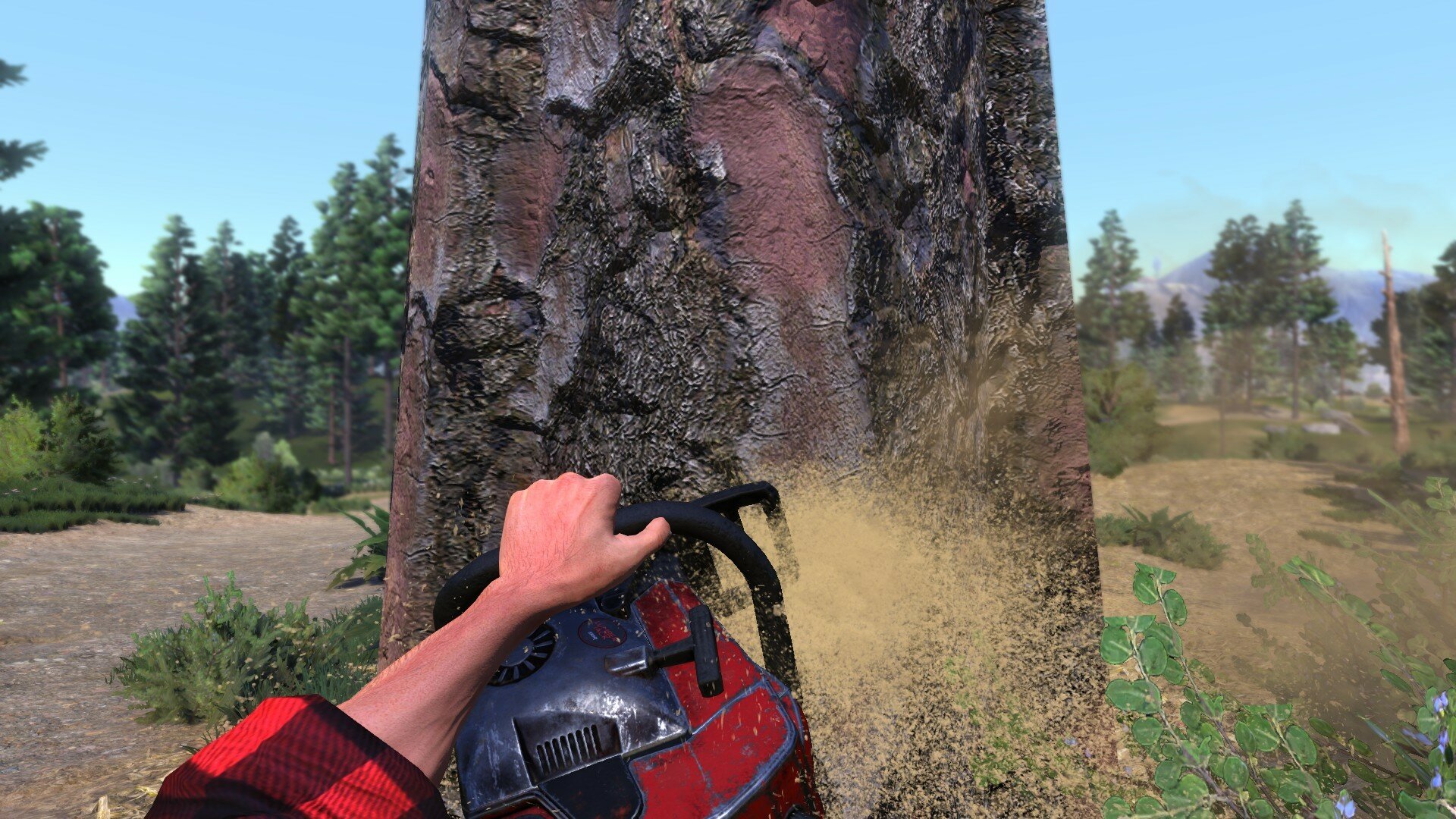 Lumberjack's Dynasty, Все страны — фото 1