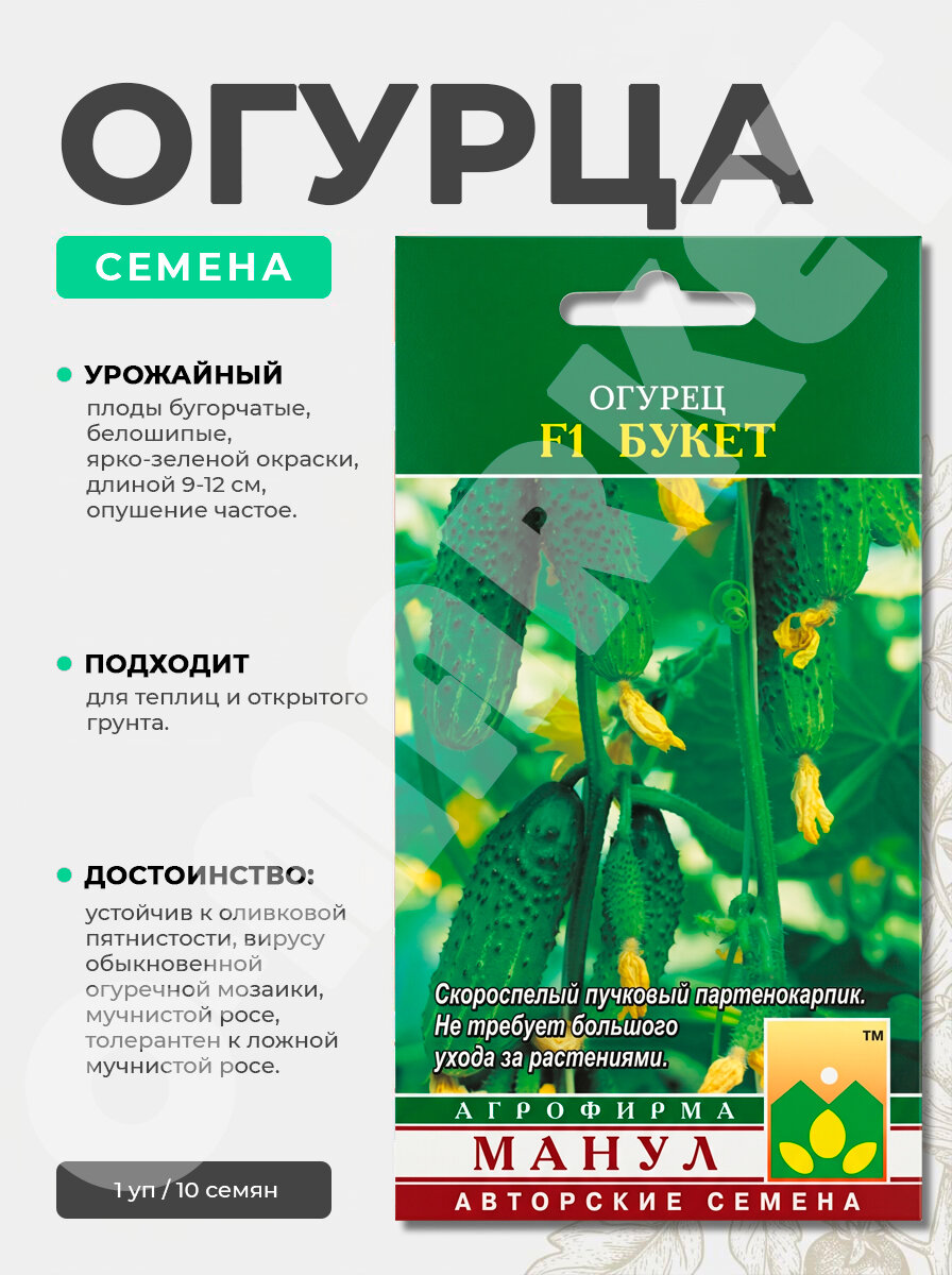 Огурцы семена самоопыляемые, корнишон F1 Букет, Агрофирма Манул
