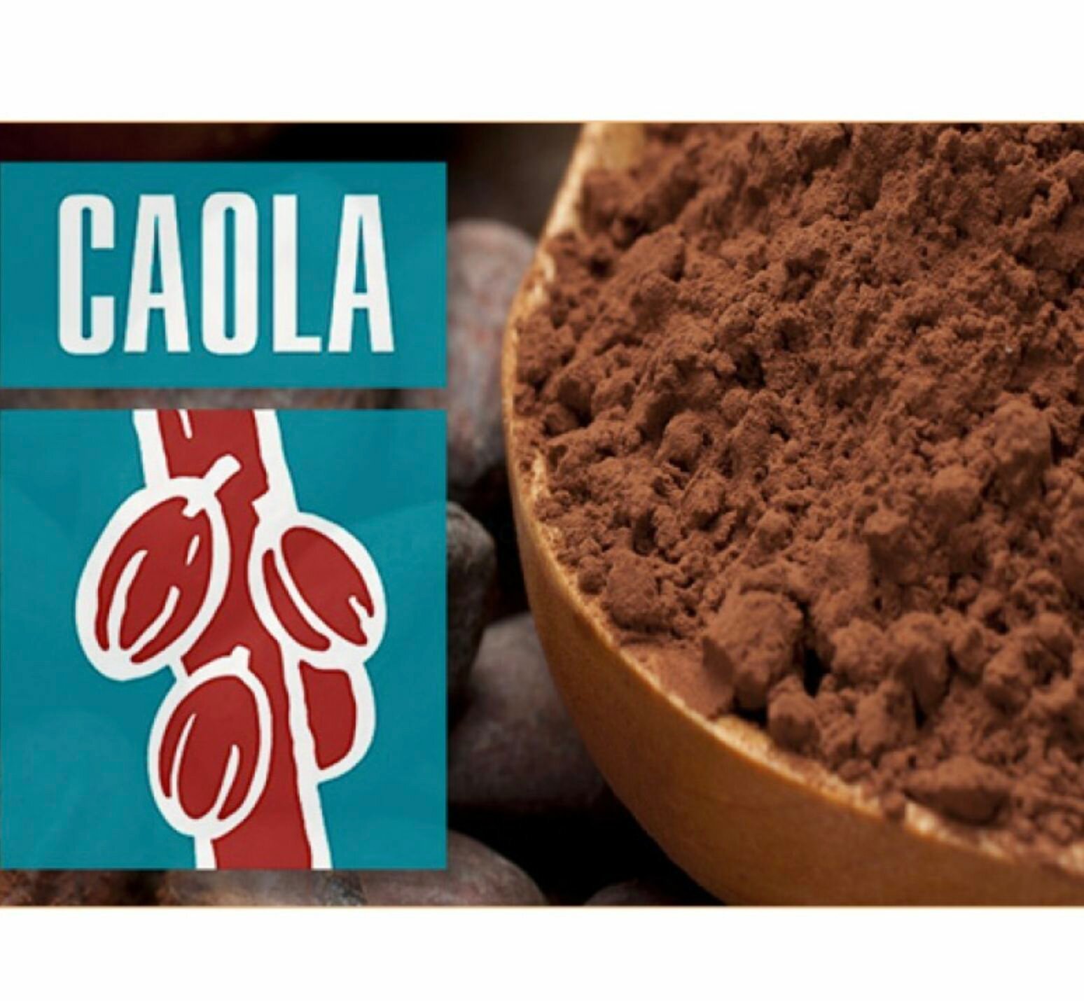 Какао порошок натуральный алкализованный CAOLA, 7-10%, (100 г)