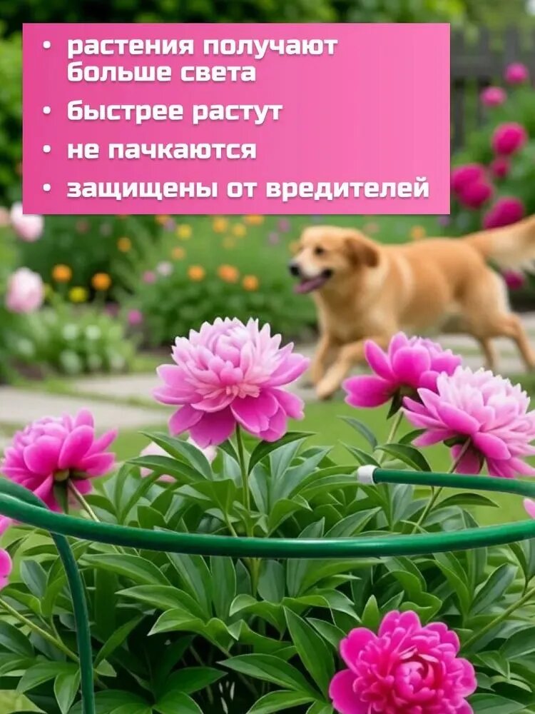 Шпалера,6.2см,1шт — фото 1