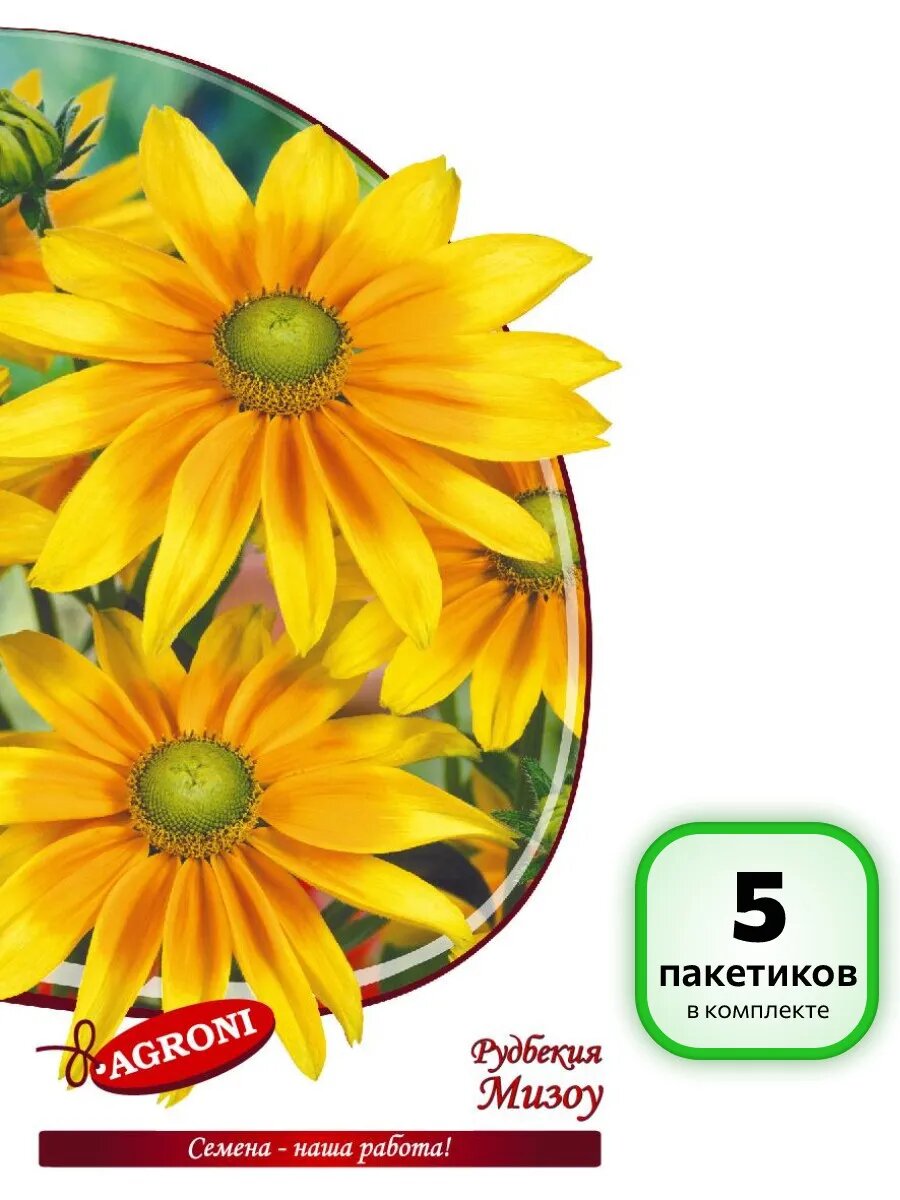 (5 шт.) - Семена Рудбекия Мизоу (0,01г)