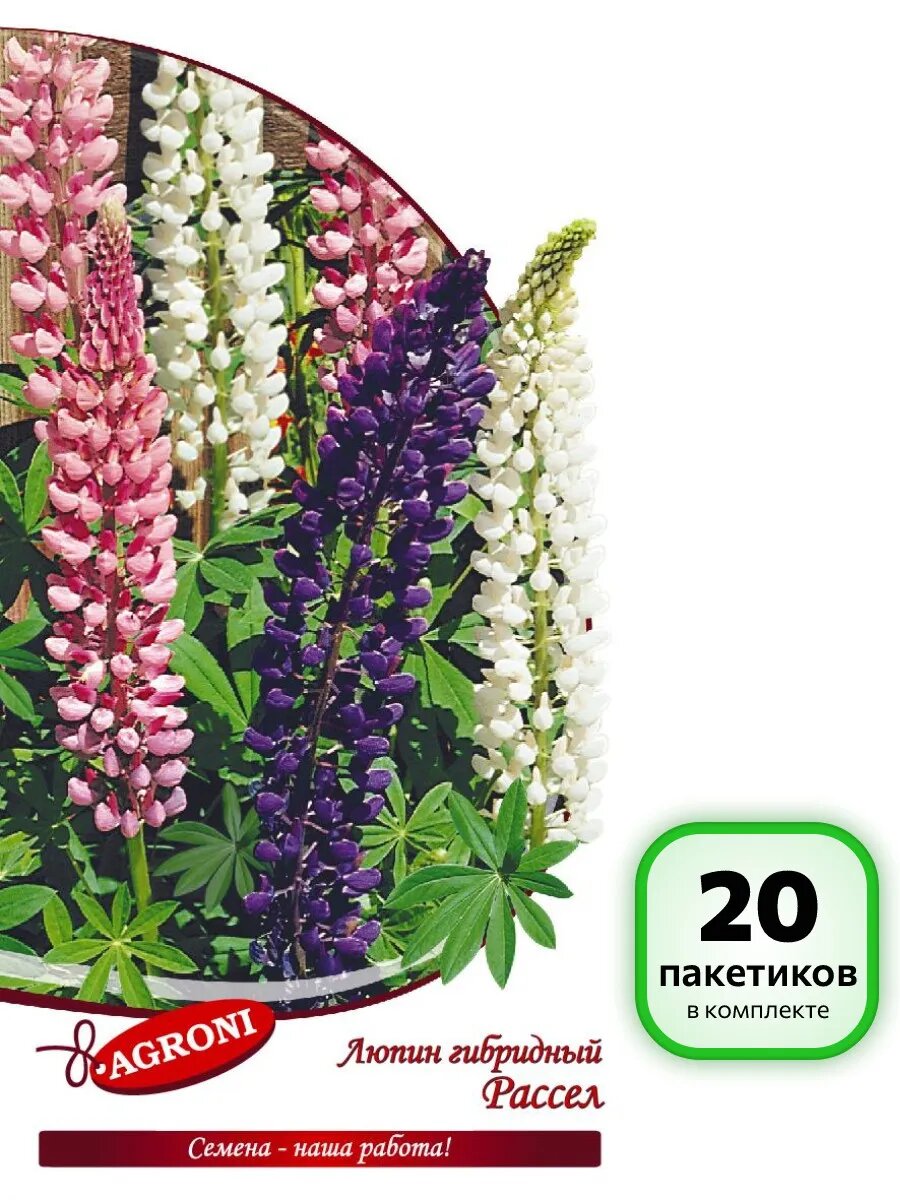 (20 шт.) - Семена Люпин Рассел микс (0,5г)