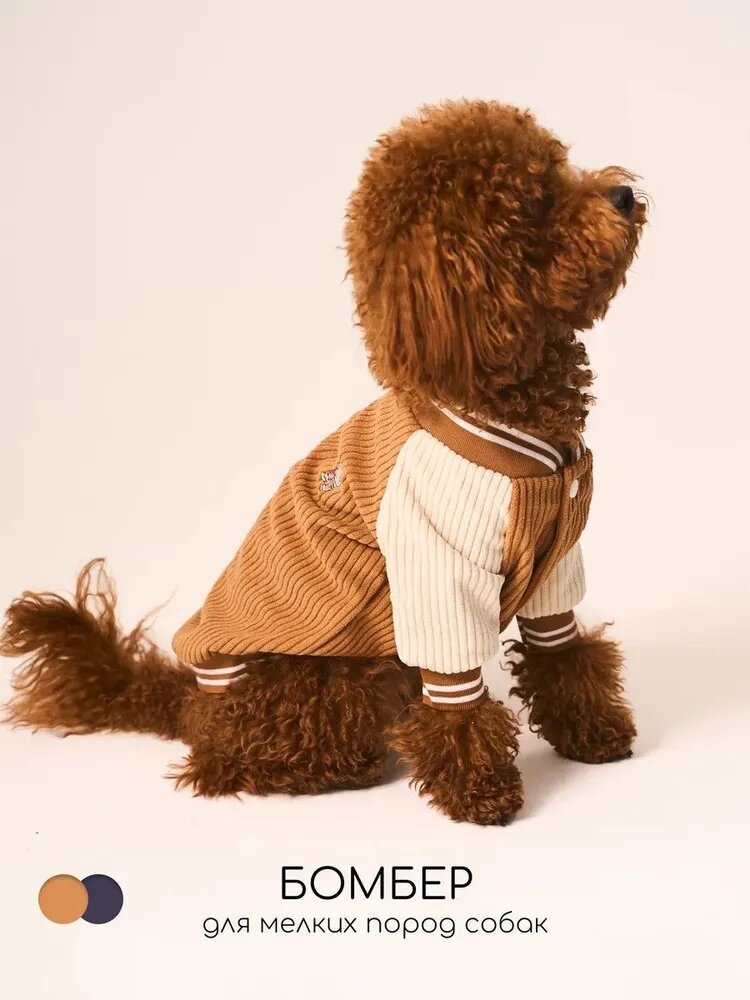 Кофта для собак и кошек / размер M Family Pet/ Одежда для собак мелких пород
