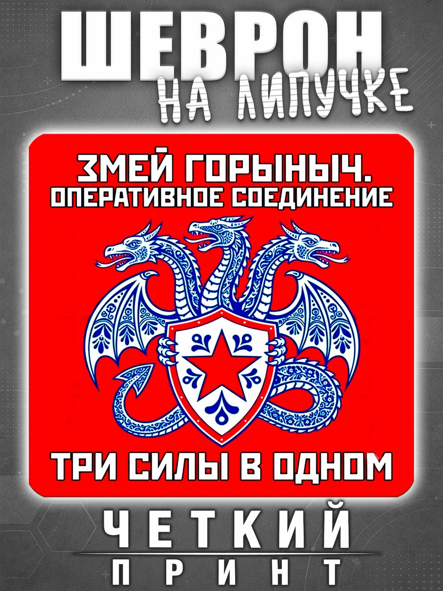 Шеврон Змей горыныч. Оперативное соединение. Три силы в одном