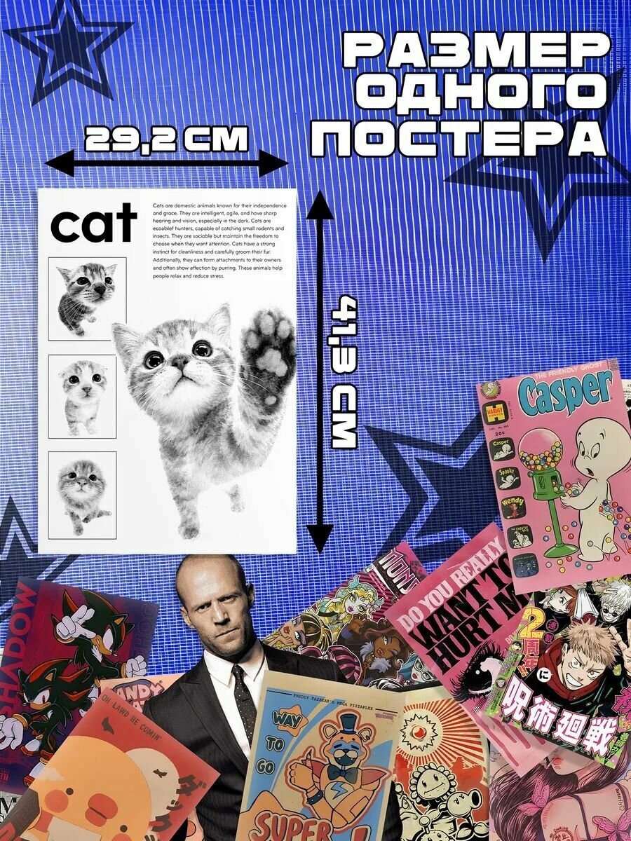 Постеры А3 Котики — фото 1