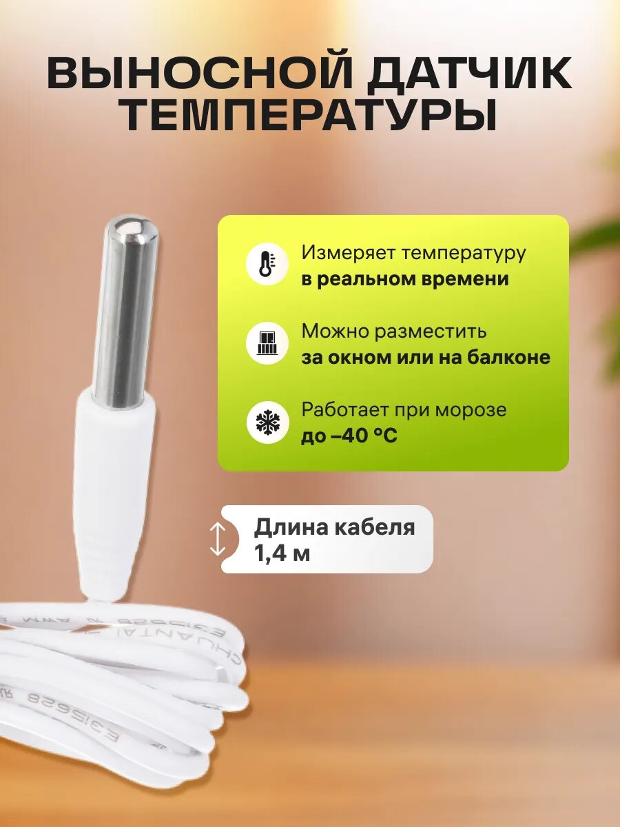 Термогигрометр Report WR10 — фото 1