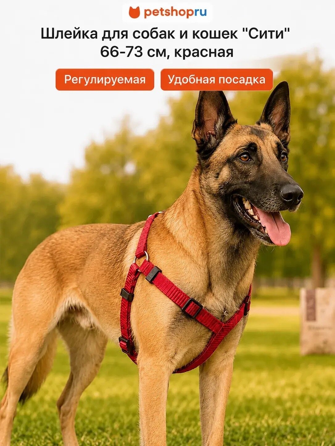 Yami Yami амуниция Шлейка Сити L красная 25мм, ОШ 65-70см, ОГ 66-73см