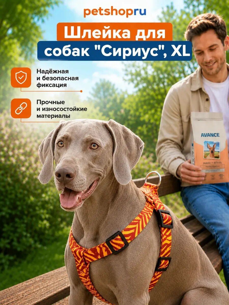 Шлейка из стропы "Сириус" анатомическая
