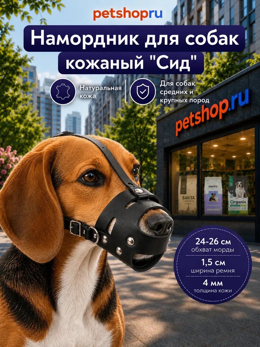 Намордник кожаный "Сид" цельнокроеный, черный