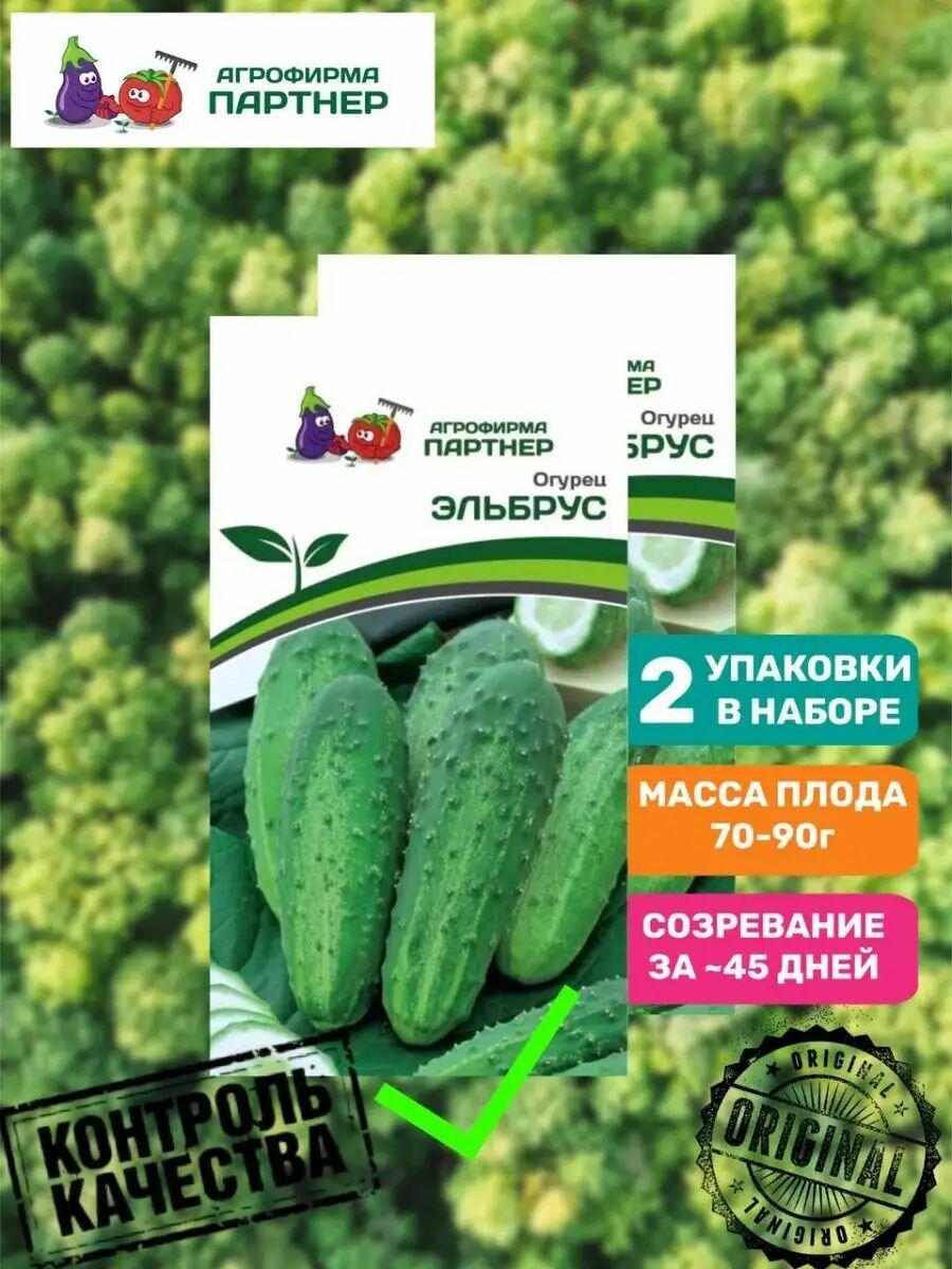 Огурец эльбрус, (1г), 2 уп.