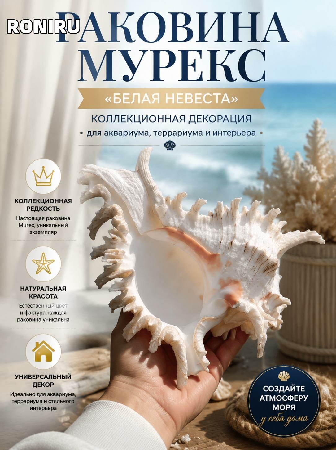 Раковина Мурекс для аквариума и террариума — коллекционная декоративная «Белая невеста» для интерьера и декора