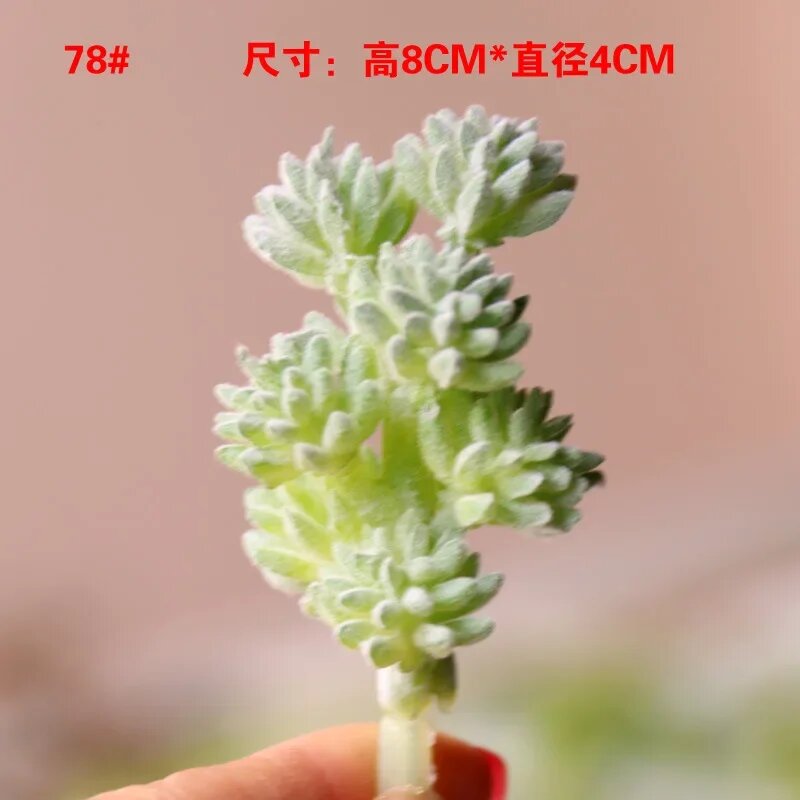 Искусственные суккуленты Wusmart Bonsai Зеленый, FG BoXueCao