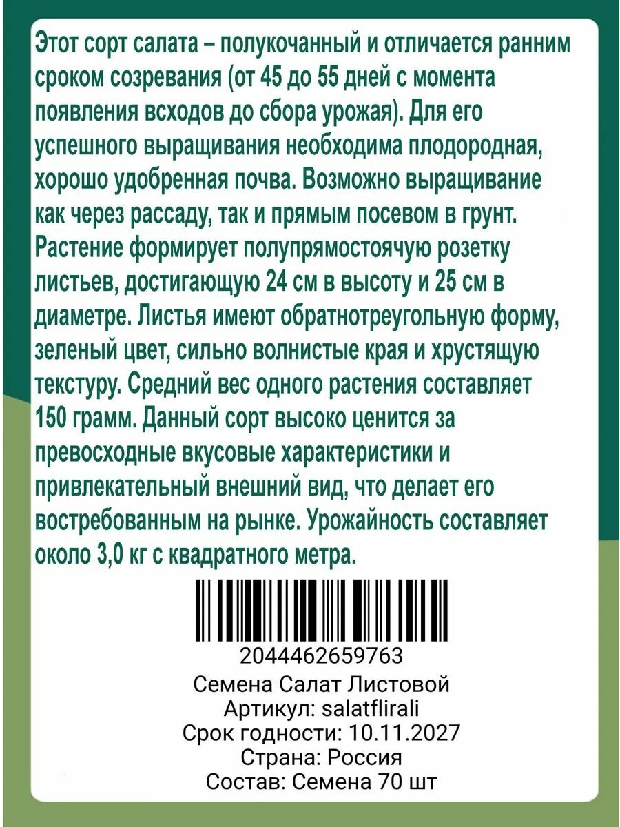 Семена Салат Листовой — фото 1