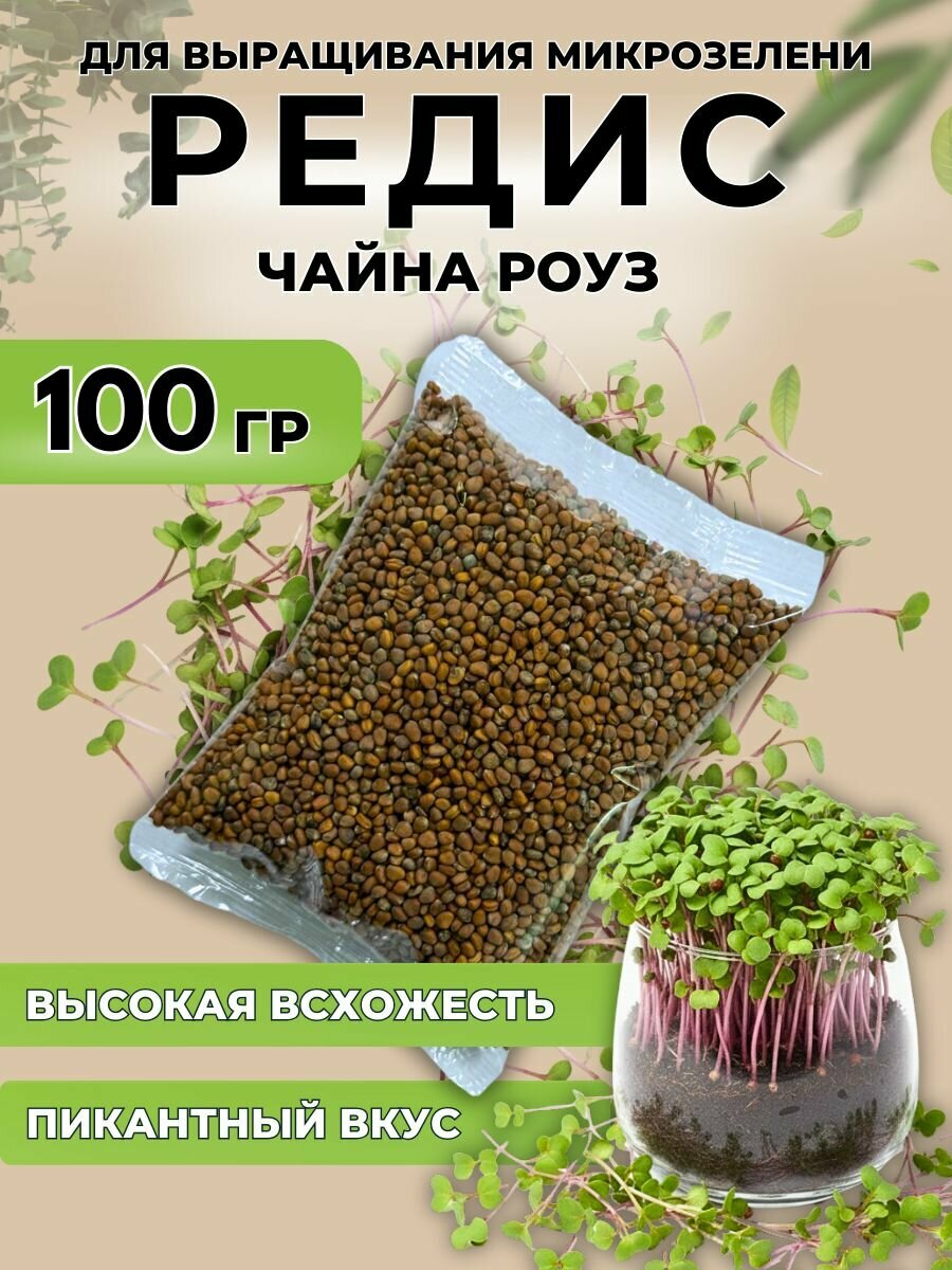 Семена редиса Чайна Роуз для микрозелени 100 грамм семена редиса редис Чайна Роуз семена для микрозелени