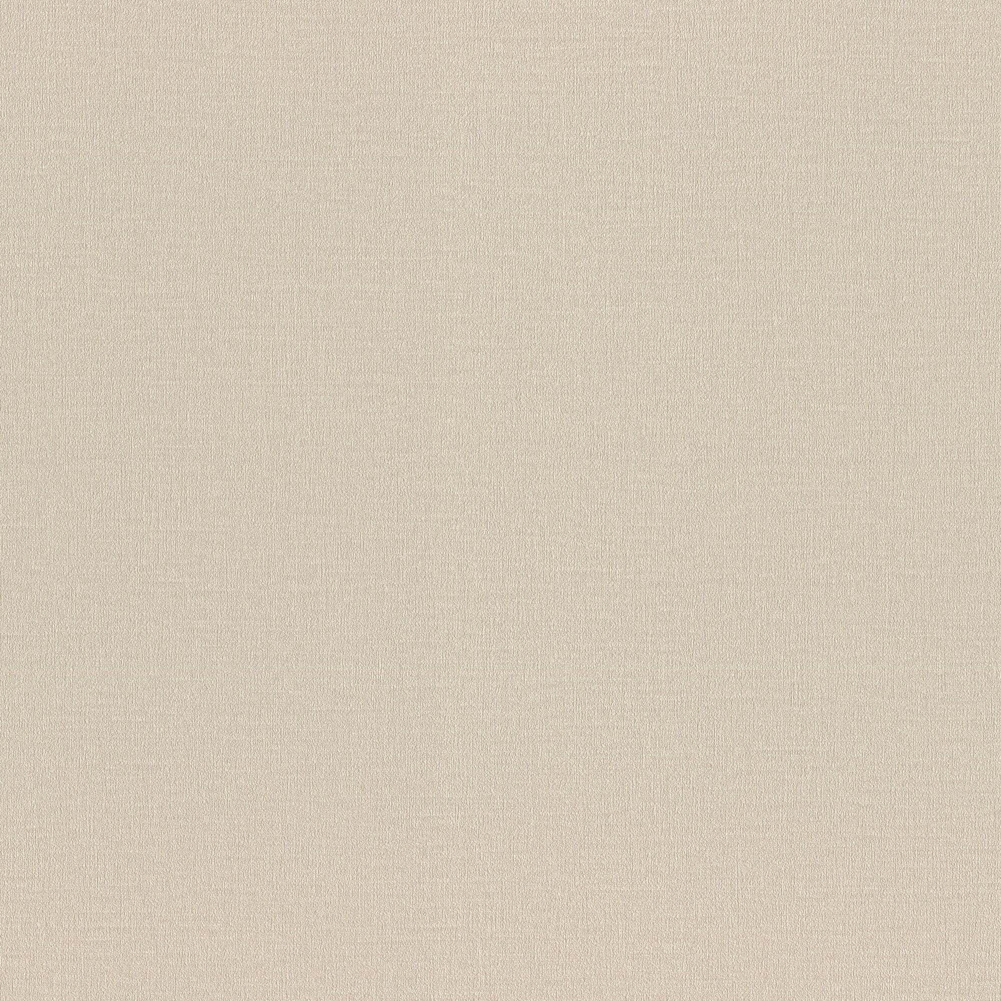 Обои Rasch Настенные структуры 4 (Wall Textures XL 4) 983517 винил на флизелине, поверхность матовая, размер рулона 1,06х10,05, Германия