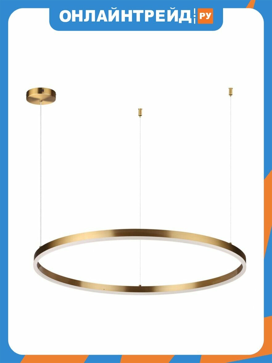 Подвесной светодиодный светильник Lumion Ledio Echo 6531/67L