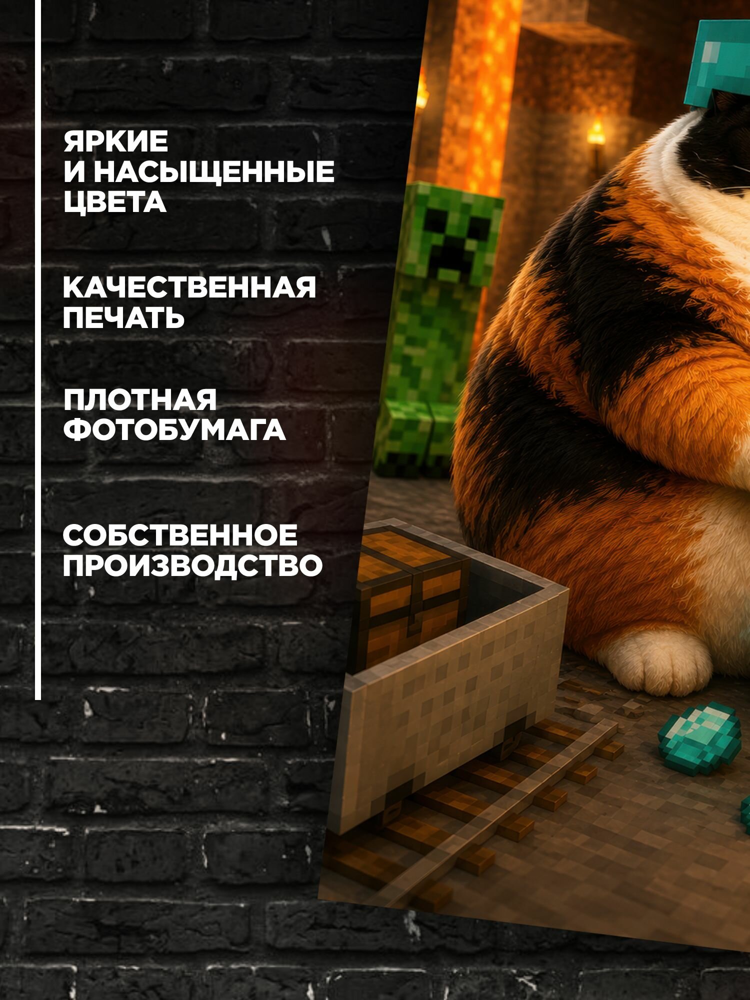Постер на стену Котость мем — фото 1