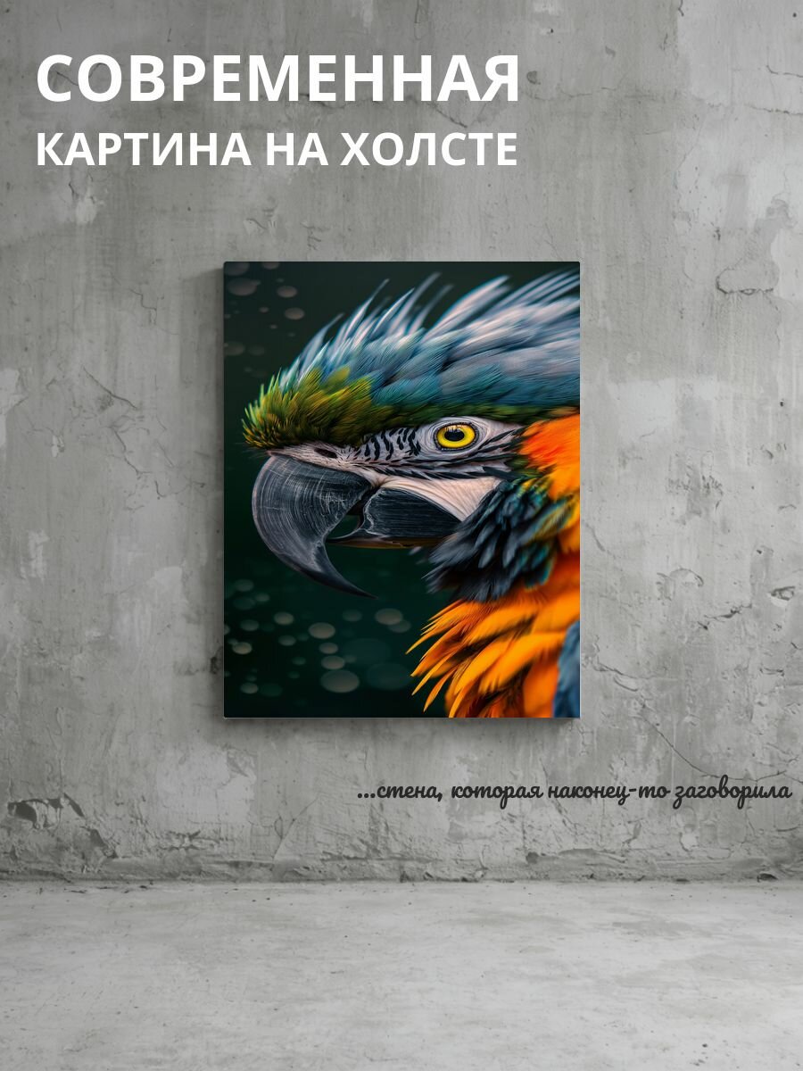 Картина на холсте Перо птицы 60x80 см