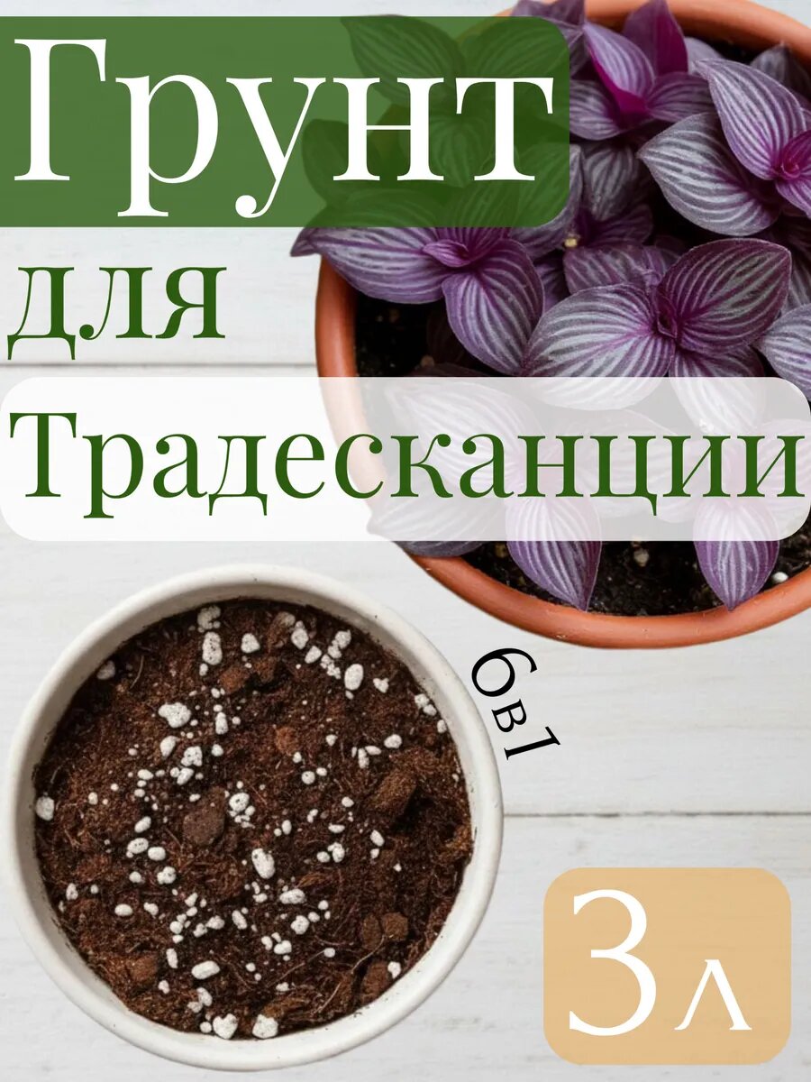 Готовый грунт для Традесканции 3 литра