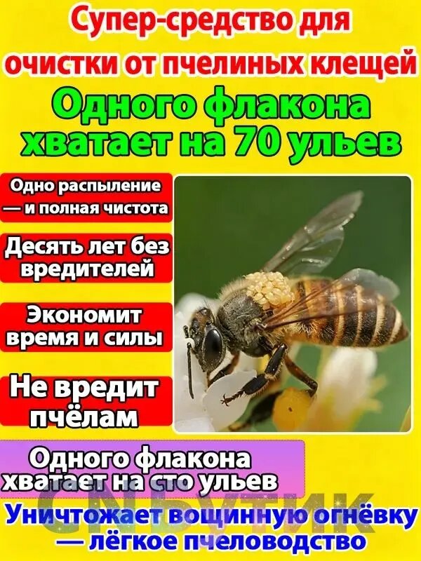 Аэрозоль муравьиная кислота / спрей от варроатоза и акарапидоза пчёл / для обработки пчёл от клещей варроа / органический аэрозоль