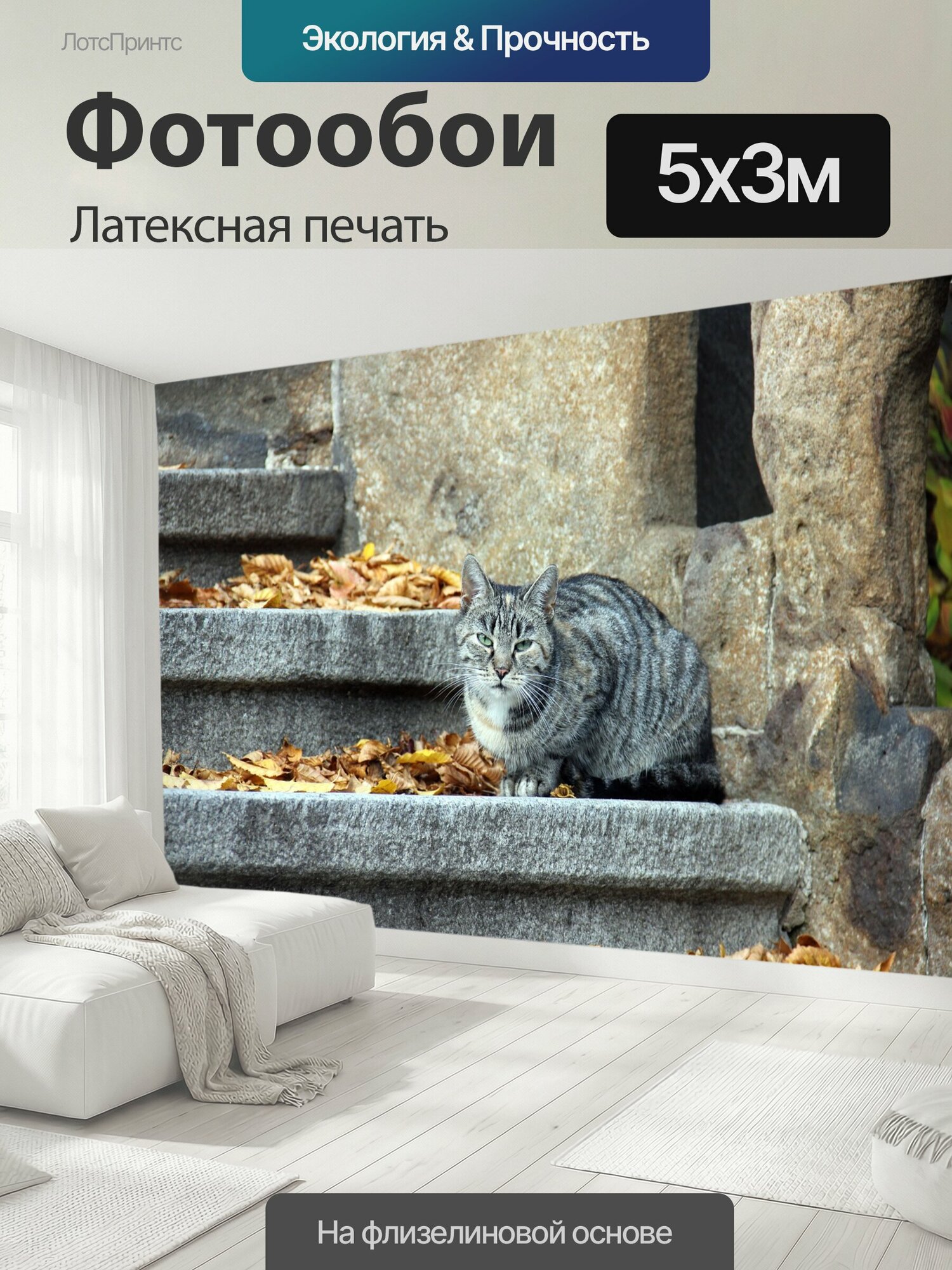 Фотообои моющиеся ударопрочные "Лестница, стена, животное" 500x300 см. латексная печать