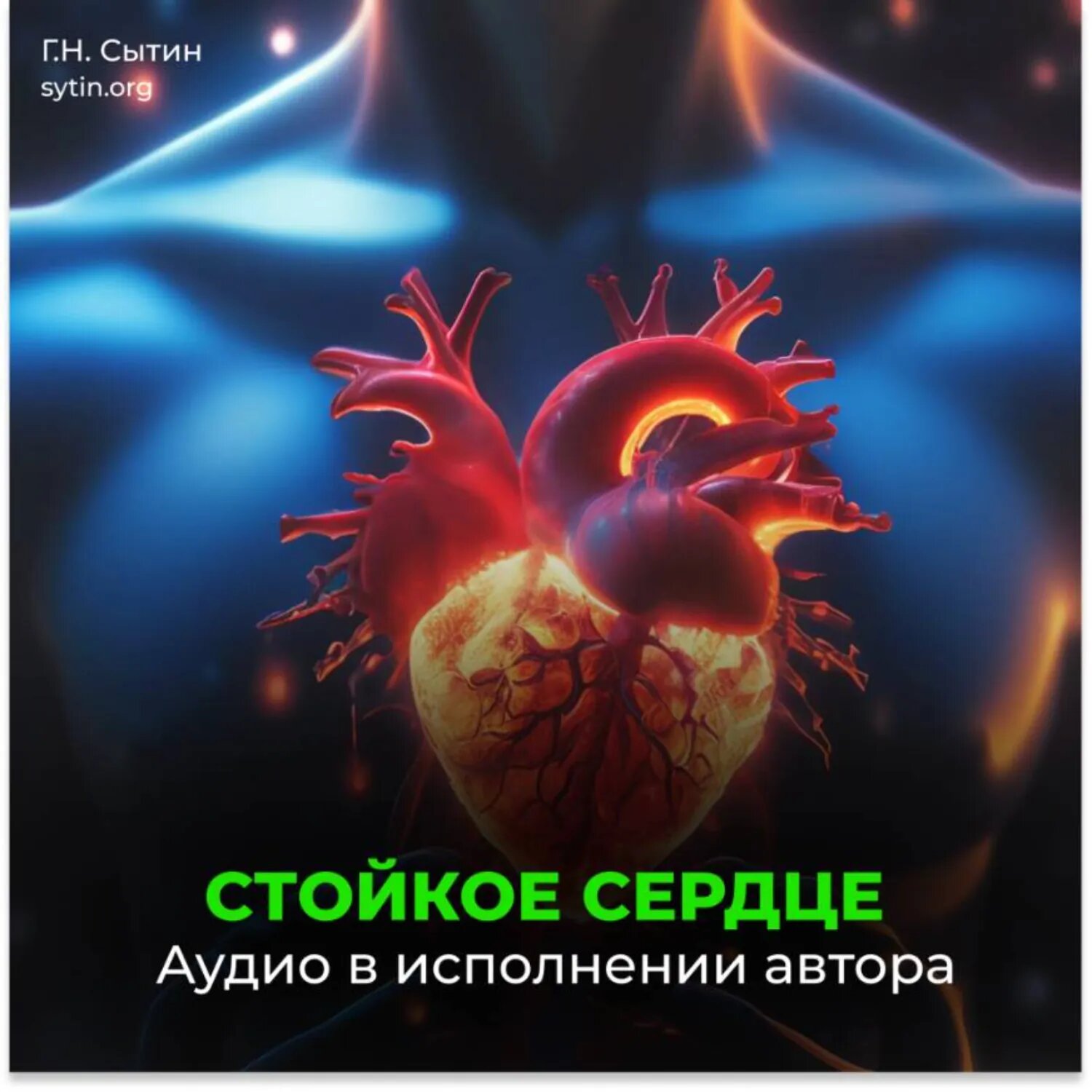 Стойкое сердце [Аудиокнига]
