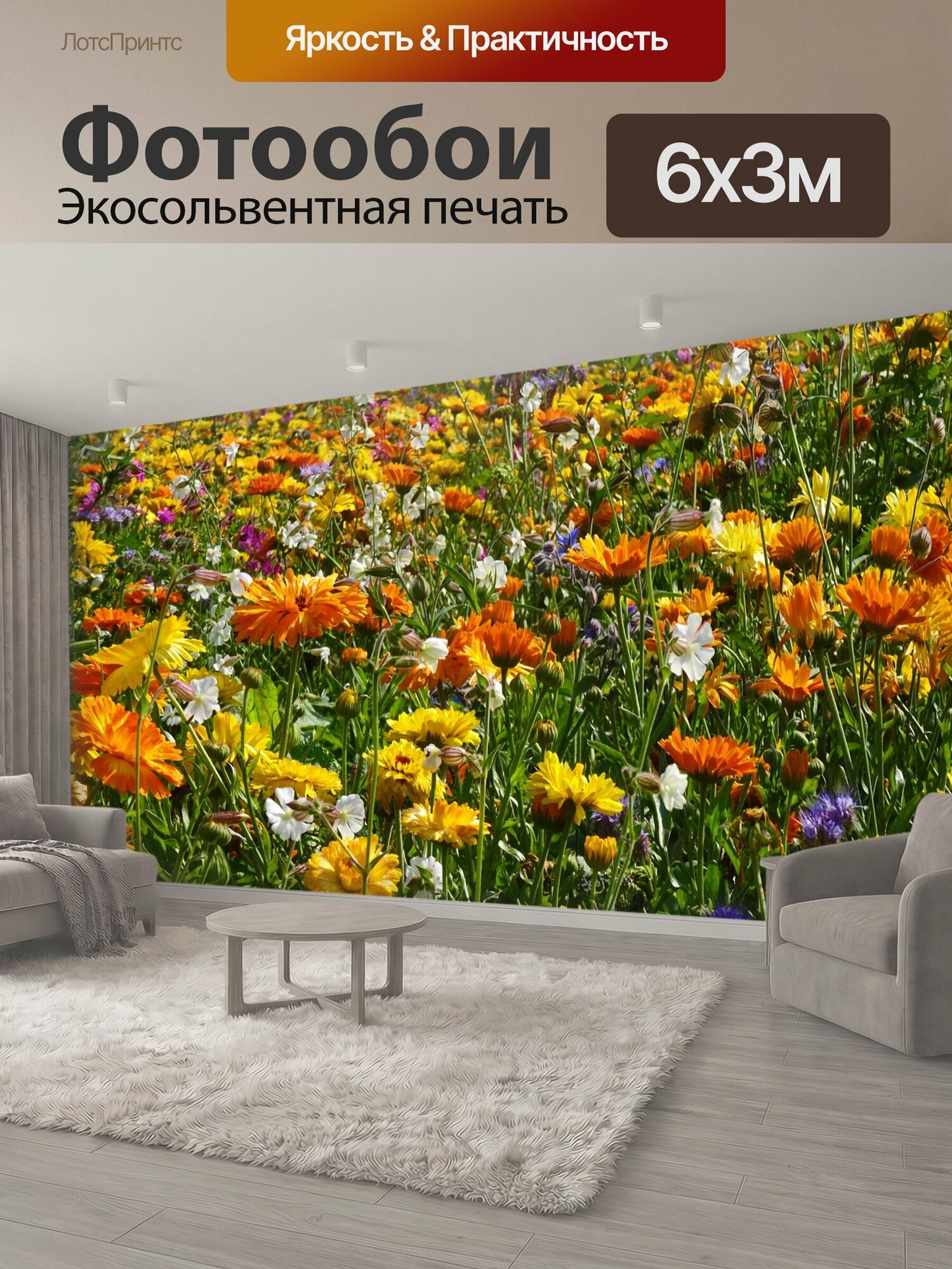 Фотообои "Цветочный луг, цветок, поле цветов" 600x300 см. экосольвентная печать
