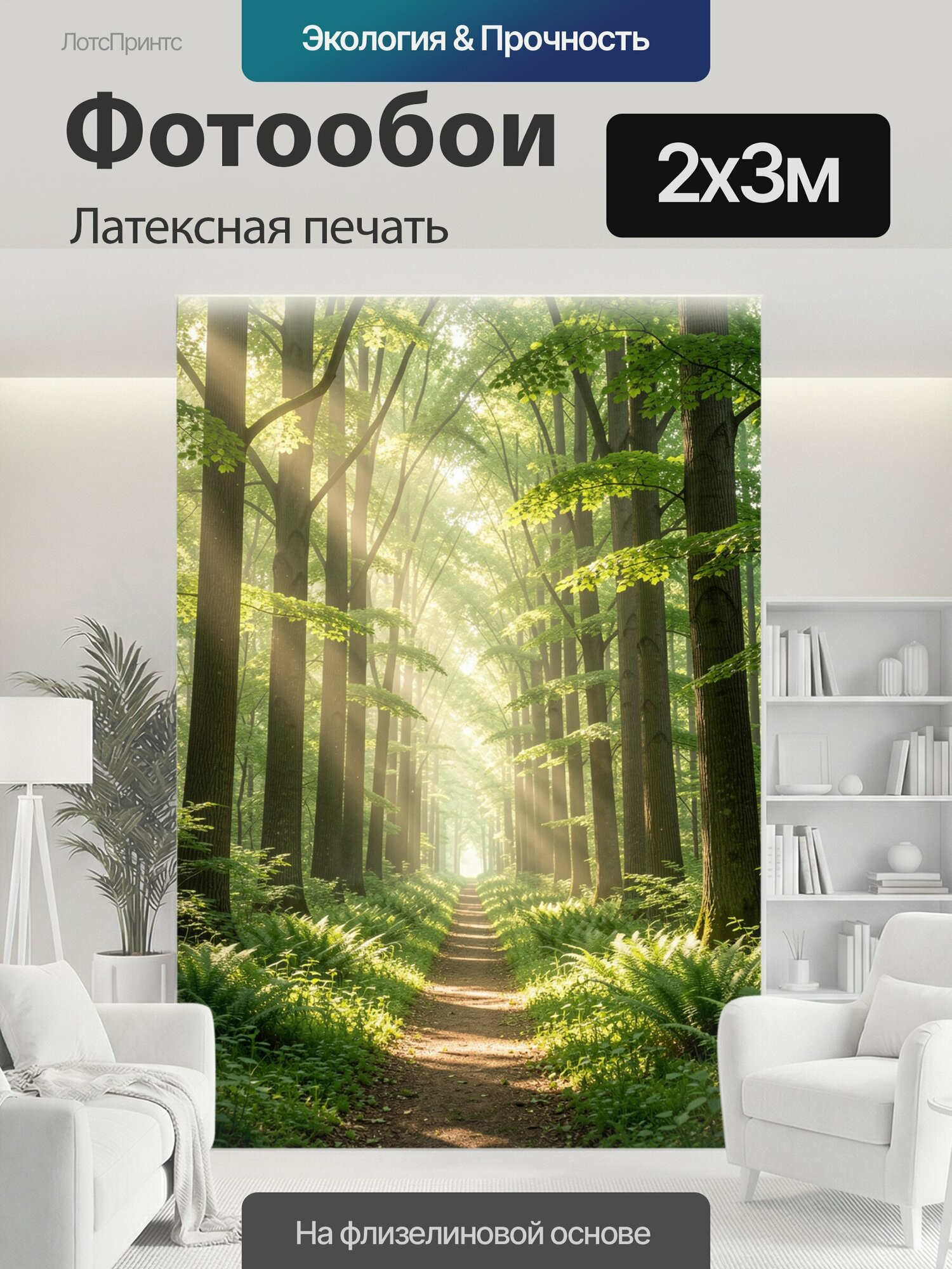 Фотообои моющиеся ударопрочные "Солнечная лесная тропа. Зеленый лес с высокими стволами, густым папоротником и мягкими лучами солнца сквозь." 200x300 см. латексная печать