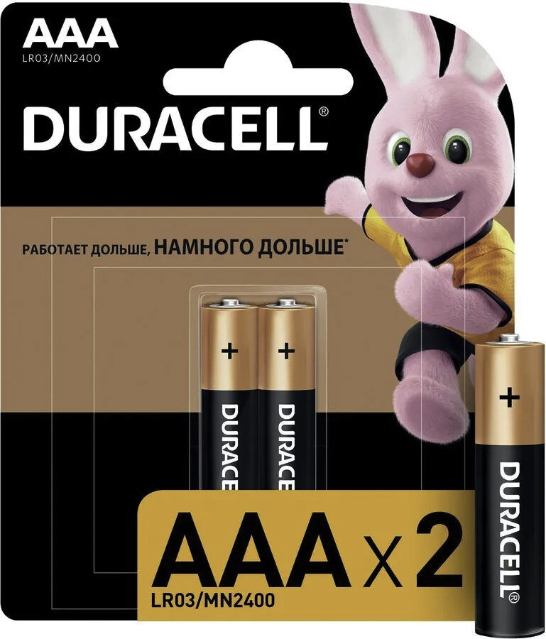 Батарейки алкалиновые Duracell Basic AAA BL2 (2 шт, блистер) — фото 1
