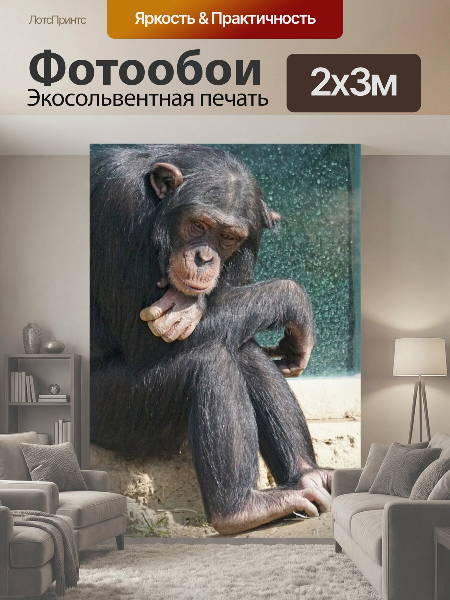 Фотообои "Шимпанзе, примат, обезьяна" 200x300 см. экосольвентная печать