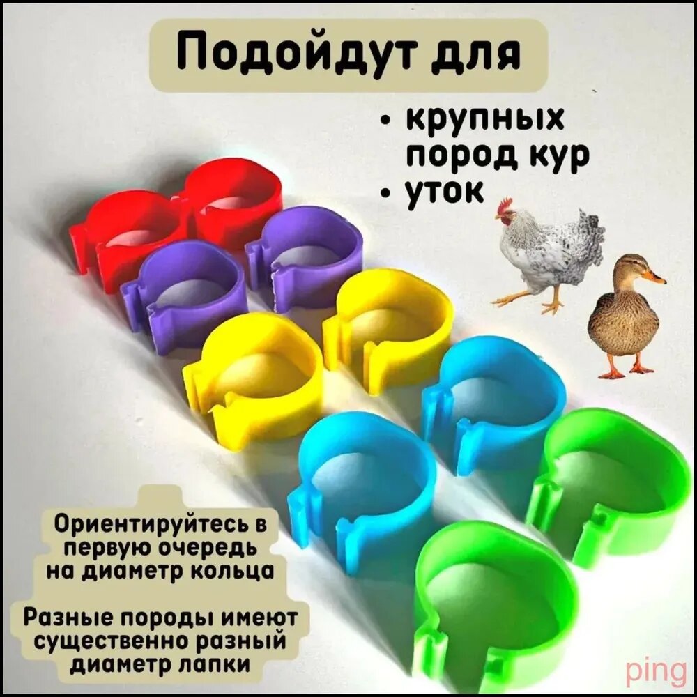 Кольцо для птицы — фото 1
