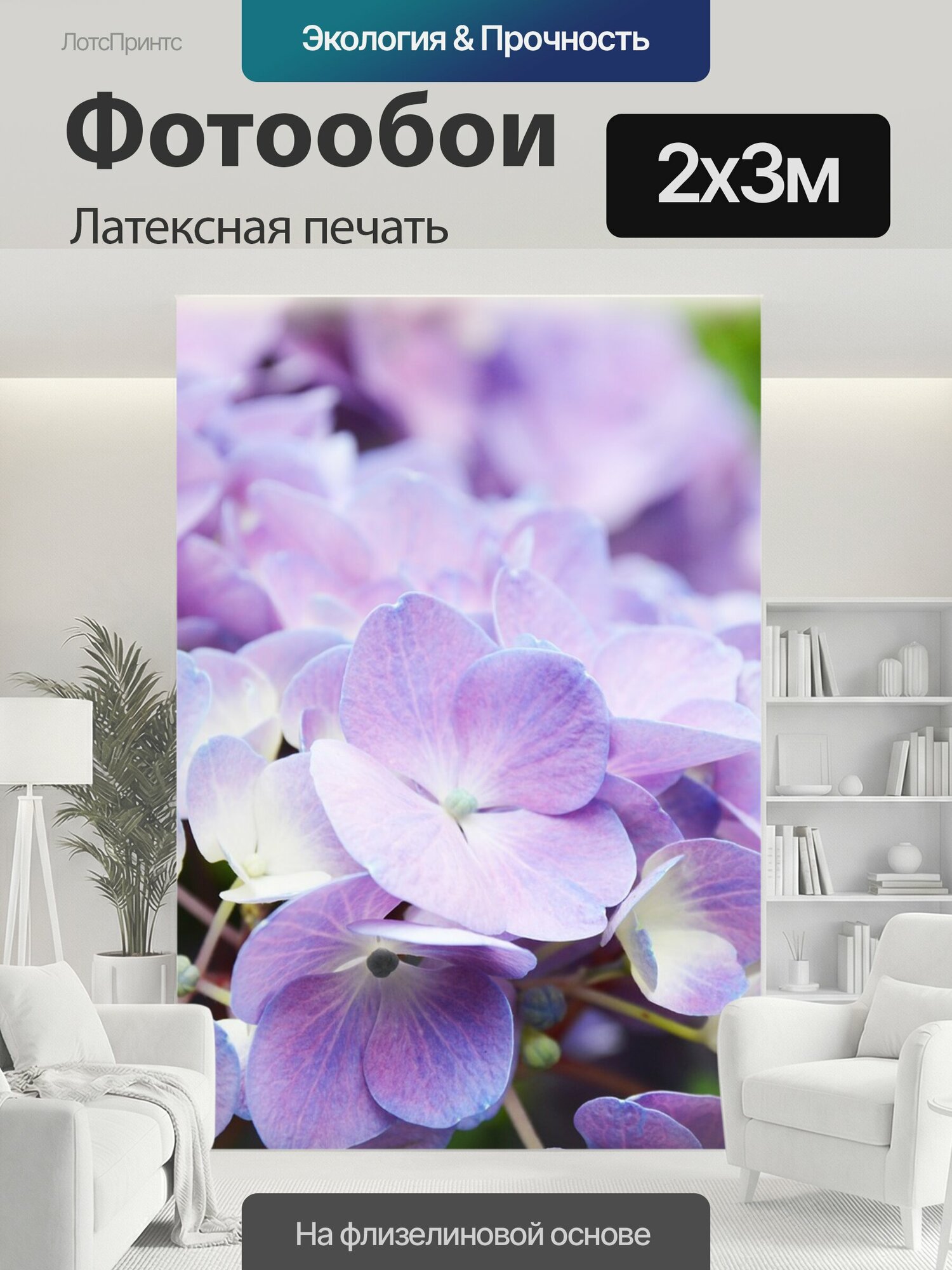 Фотообои моющиеся ударопрочные "Гортензия, фиолетовый, свежий" 200x300 см. латексная печать