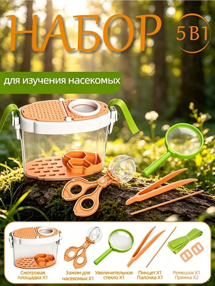 Набор для игр на открытом воздухе детей, набор ловли насекомых, наблюдения за ящиками, исследования насекомых